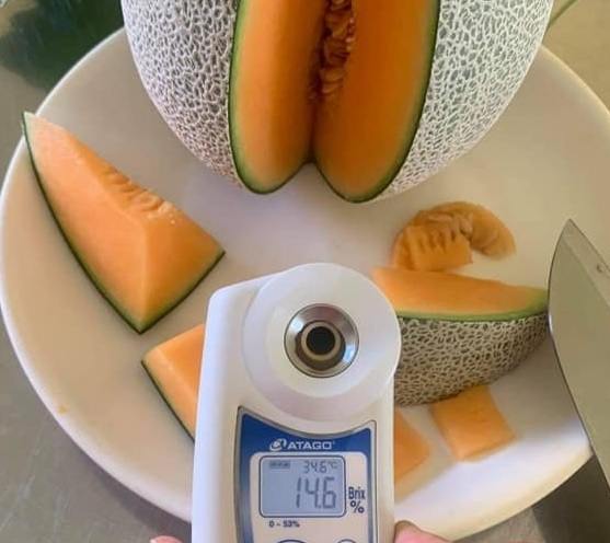 Độ ngọt brix là gì?